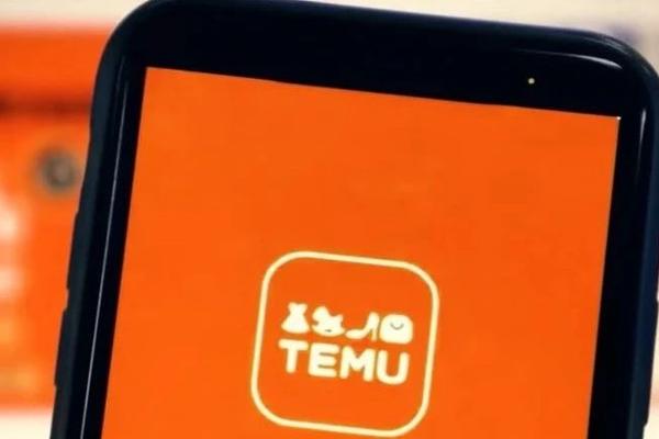 Temu做对了什么？-36氪