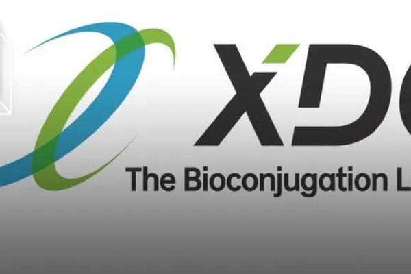 药明生物旗下「药明合联」冲刺港交所：拥有全球最多的ADC等生物偶联药物项目-36氪