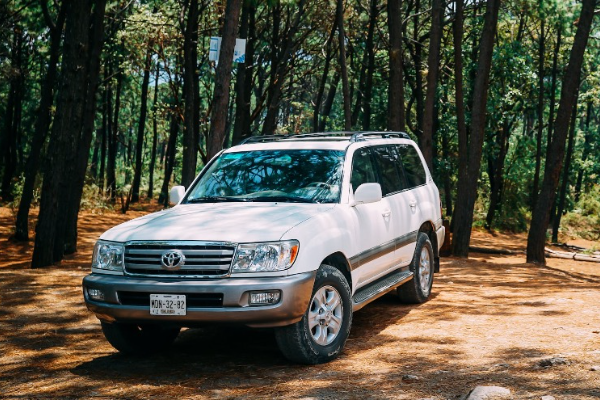 国产车企开始卷MPV，丰田加价提车的美梦快做完了？-36氪