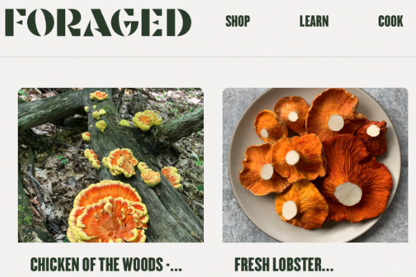 海外new things｜「Foraged」完成270万美元种子轮融资，打造直连消费者和野生食品的特色市场-36氪