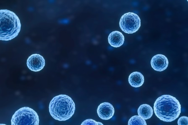 自主研发STAR-T技术，「华夏英泰」如何突破细胞治疗的实体瘤之困？-36氪