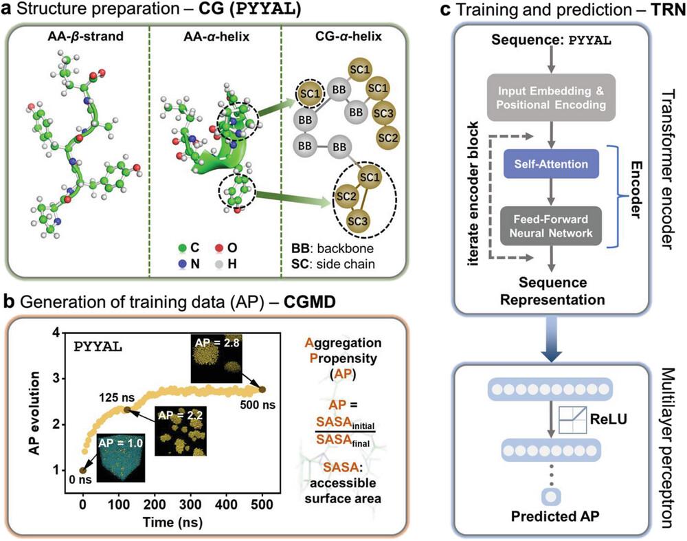 西湖大学利用 Transformer 分析百亿多肽的自组装特性，破解自组装法则-36氪