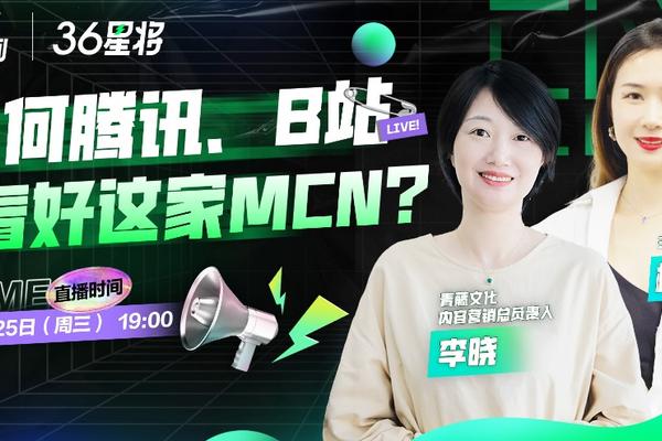36星将 ｜对话青藤文化李晓：“All in” B站之后发现了一些“投放法则”-36氪