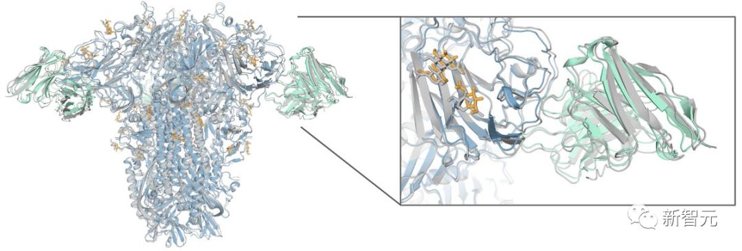 DeepMind曝新一代AlphaFold，预测准确率暴涨近10%，DNA和RNA的AlphaFold时刻来了-36氪