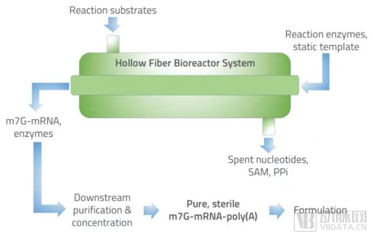 三轮融资超6000万美元， NTx首创无细胞生物合成平台持续降低mRNA生产成本-36氪
