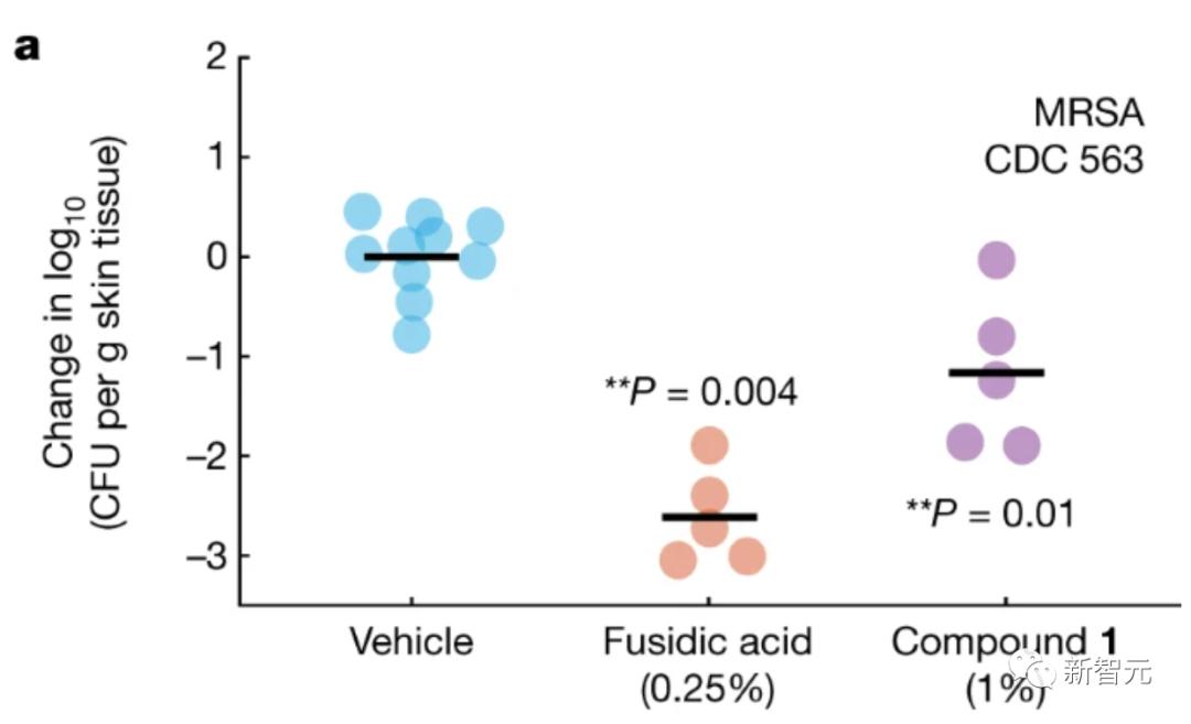 60年首次，AI发现首批新抗生素，MIT重磅研究登Nature，人类有望对抗超级细菌-36氪
