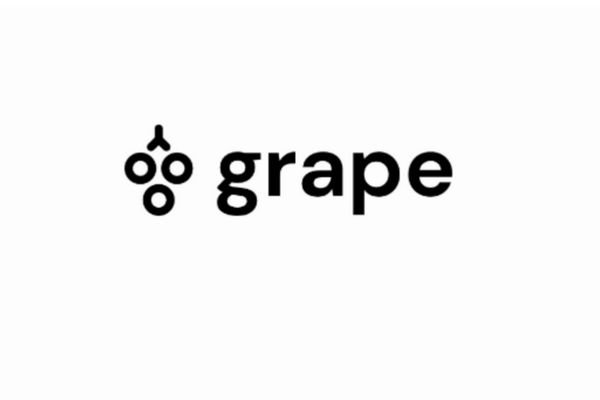 瑞士金融科技公司Grape Insurance开发数字化员工保险平台，实现保险流程的自动化 | 瑞士创新100强-36氪