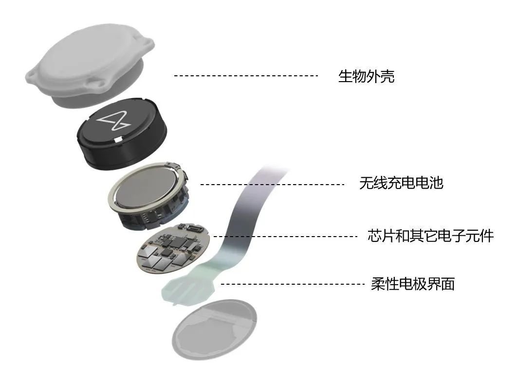 Neuralink脑机接口首次植入人体，马斯克发布的临床进展意味着什么？ | 焦点分析-36氪