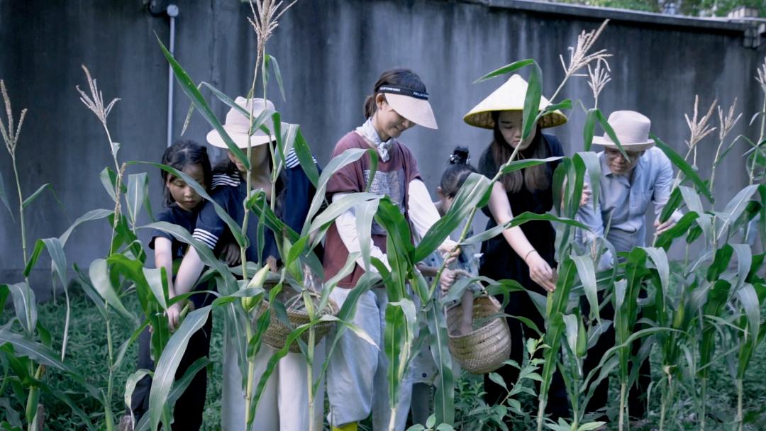 气象学者预警：极端天气下，80、90后不可能安享晚年-36氪