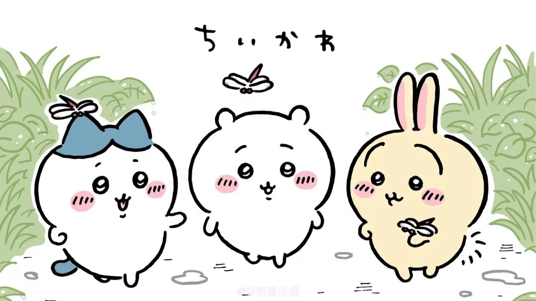 Chiikawa接力Loopy，魔性IP有啥魅力-36氪