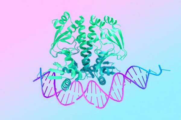 AlphaFold 3重磅发布，谷歌开启1000亿刀AI药物研发市场-AITOP100,AI资讯