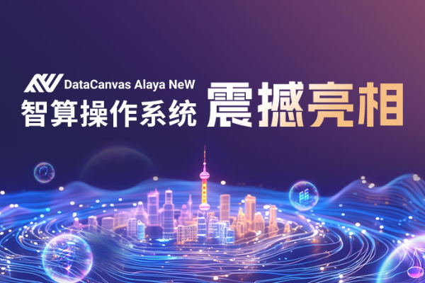 DataCanvas Alaya NeW智算操作系统震撼亮相WAIC 2024-36氪