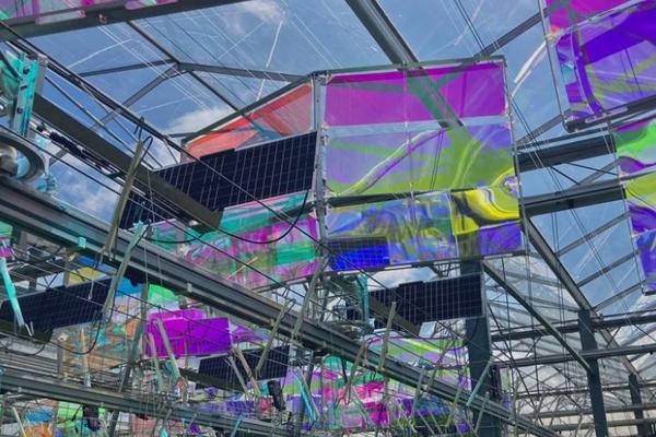 瑞士清洁科技公司Voltiris开发玻璃温室专用太阳能模块，实现温室太阳能发电与作物提产双重目标 | 瑞士创新100强-36氪