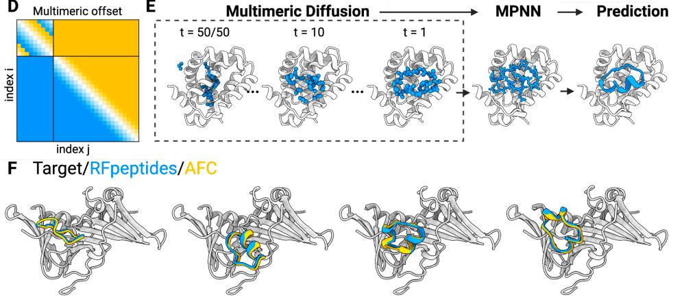 David Baker最新成果，从头设计大环肽结合物框架RFpeptides，为不可成药蛋白质提供新可能性-36氪