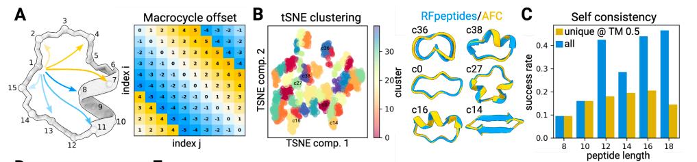 David Baker最新成果，从头设计大环肽结合物框架RFpeptides，为不可成药蛋白质提供新可能性-36氪