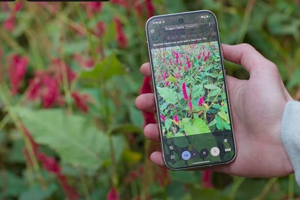 谷歌最强大模型登场，掀Agent风暴，放AI芯片大招，深夜突袭OpenAI-36氪