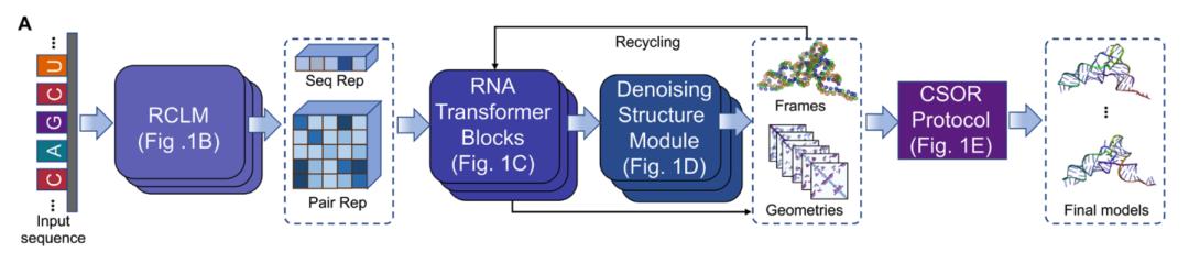 新加坡国立大学张阳团队开发第二代RNA结构预测算法，多项基准测试超越SOTA-36氪