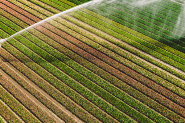 Swiss Food Tech Firm xFarm Technologies Unveils Intelligent Farmland ...