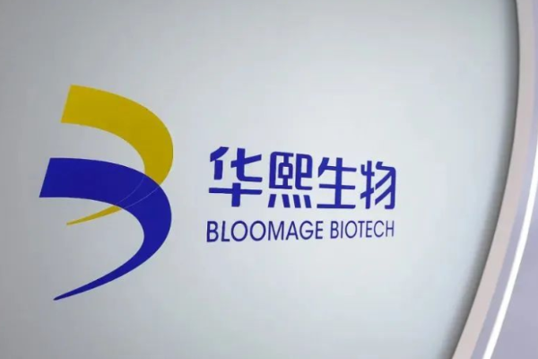 Surviving Market Cycles: A Deep Dive into Reconstructing Bloomage ...