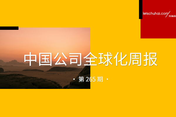 中国公司全球化周报｜宁德时代在德国首发NP3.0技术平台/TikTok欧洲月活用户突破2亿-36氪