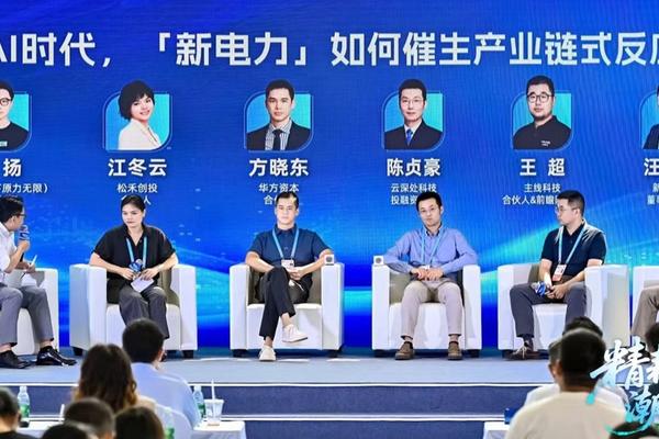 Roundtable Dialogue: How New Power Catalyzes Industrial Chain Reactions ...