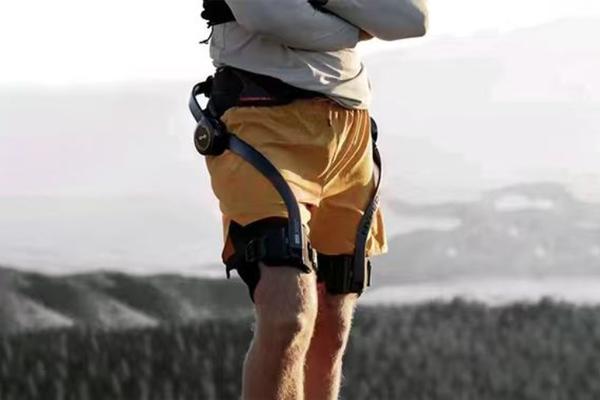 Are the Billion - dollar - valued Exoskeletons of Leading Companies ...